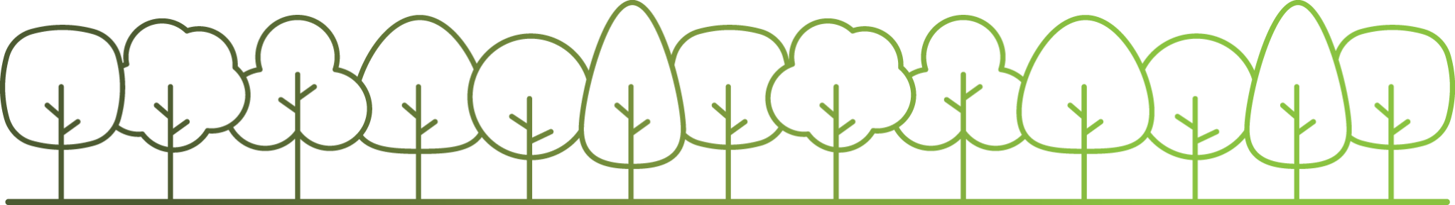 H-E-B launches Trees for Texans program on Texas Arbor Day, to plant ...